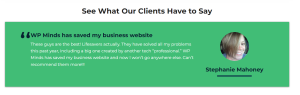 7 Best Testimonial Examples to Inspire Customers | WP Minds