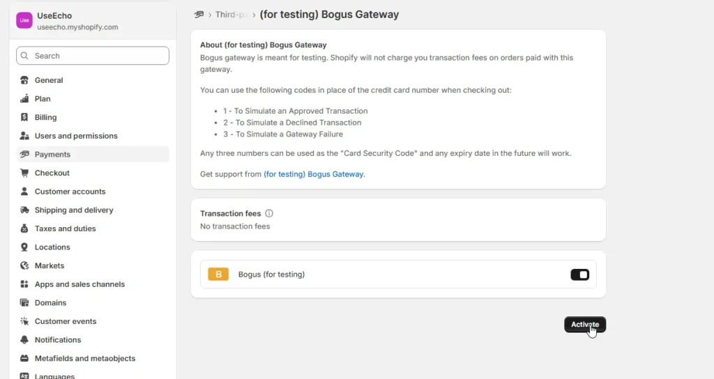 How to Do a Test Order on Shopify (Step-by-Step Guide)